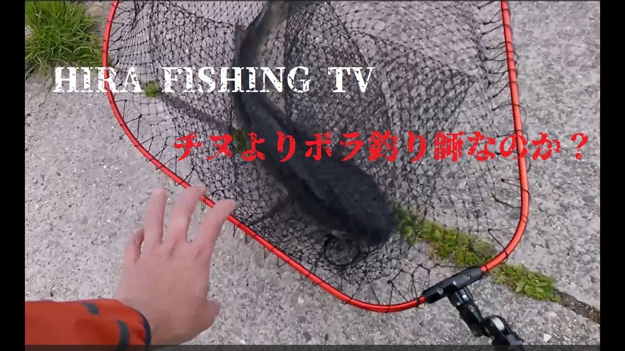 HIRA FISHING TV 2023.4.5 今年2回目の紀州釣り・寝浮き・インターライン ボケでは無く、ホタテの貝柱 めっちゃアタル ...