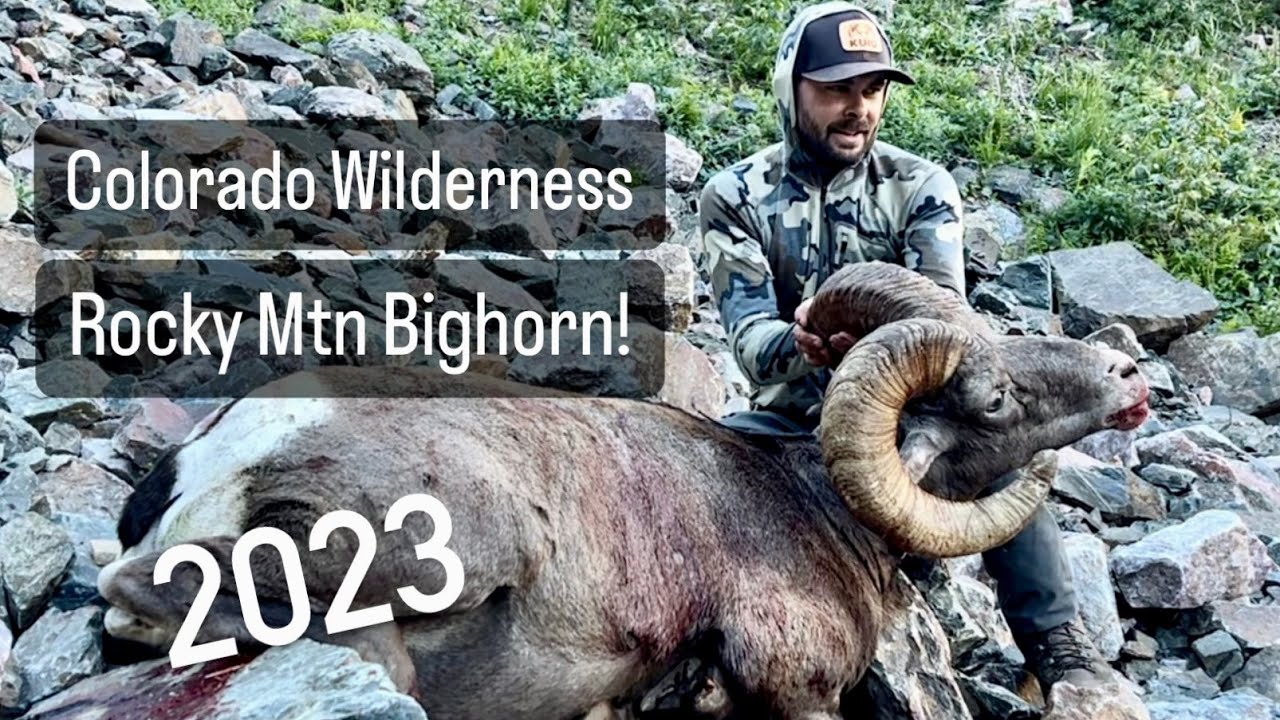 Colorado Rocky Mountain Bighorn Sheep Rifle Hunt | DIY, Wilderness ...