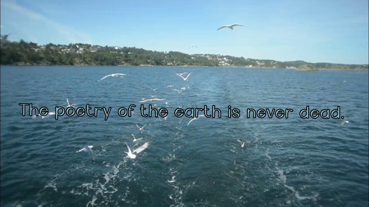 Music is life itself | Music is the soundtrack of your life | The only ...