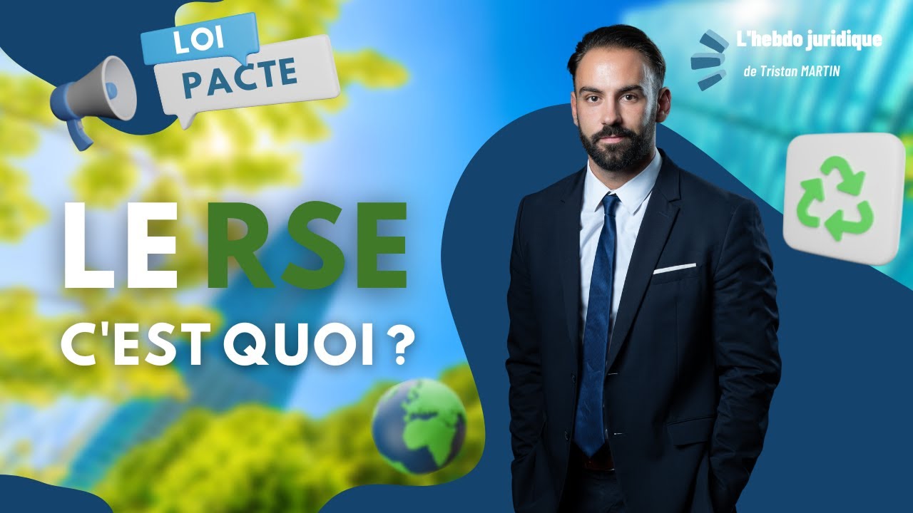 Les sociétés face aux contraintes environnementales et sociétales (RSE ...
