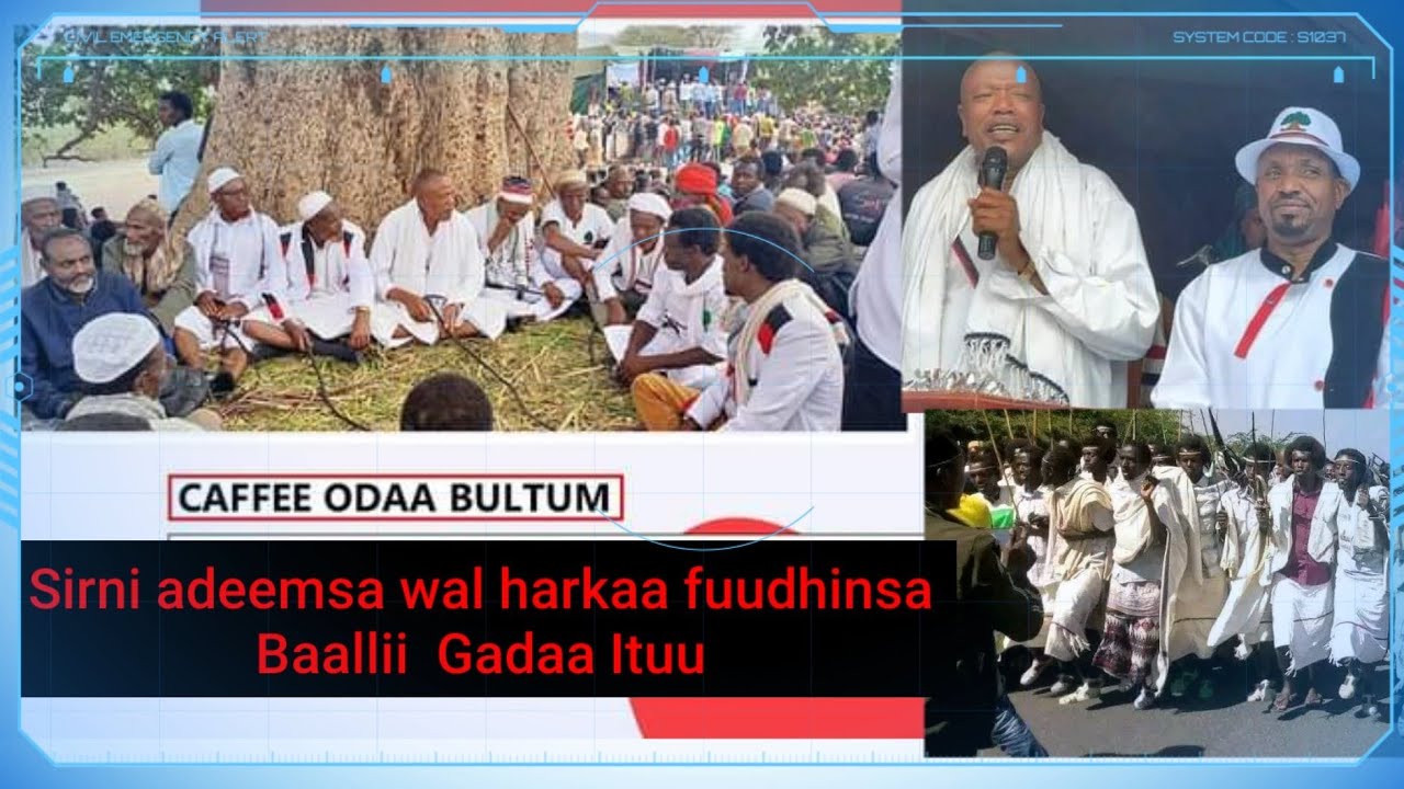 Oduu Harawa afaan oromo Sirni adeemsa wal harkaa fuudhinsa Baallii ...
