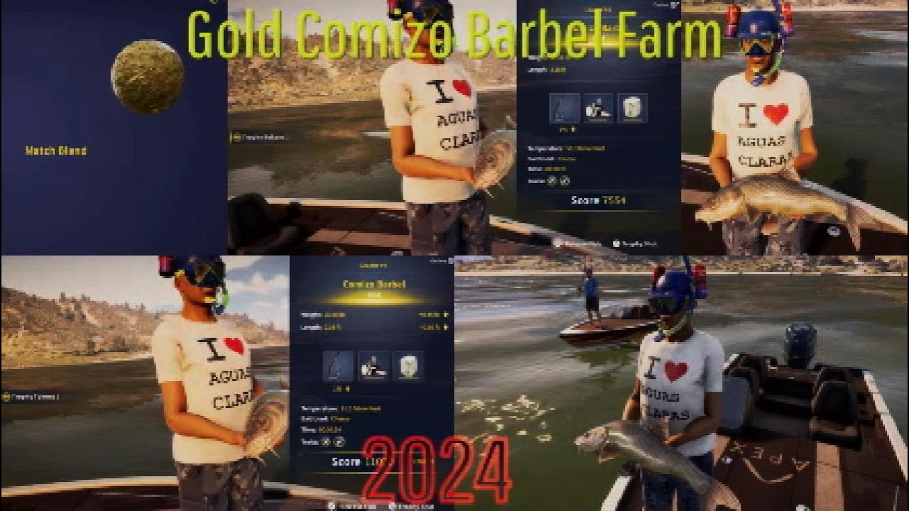 Call Of The Wild The Angler - Gold Comizo Barbel Farm 2024 - YouTube