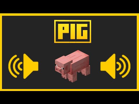 🟨 ALL EFFECTS SOUNDS OF THE PIG - Minecraft Bedrock & Java 🟨 - YouTube