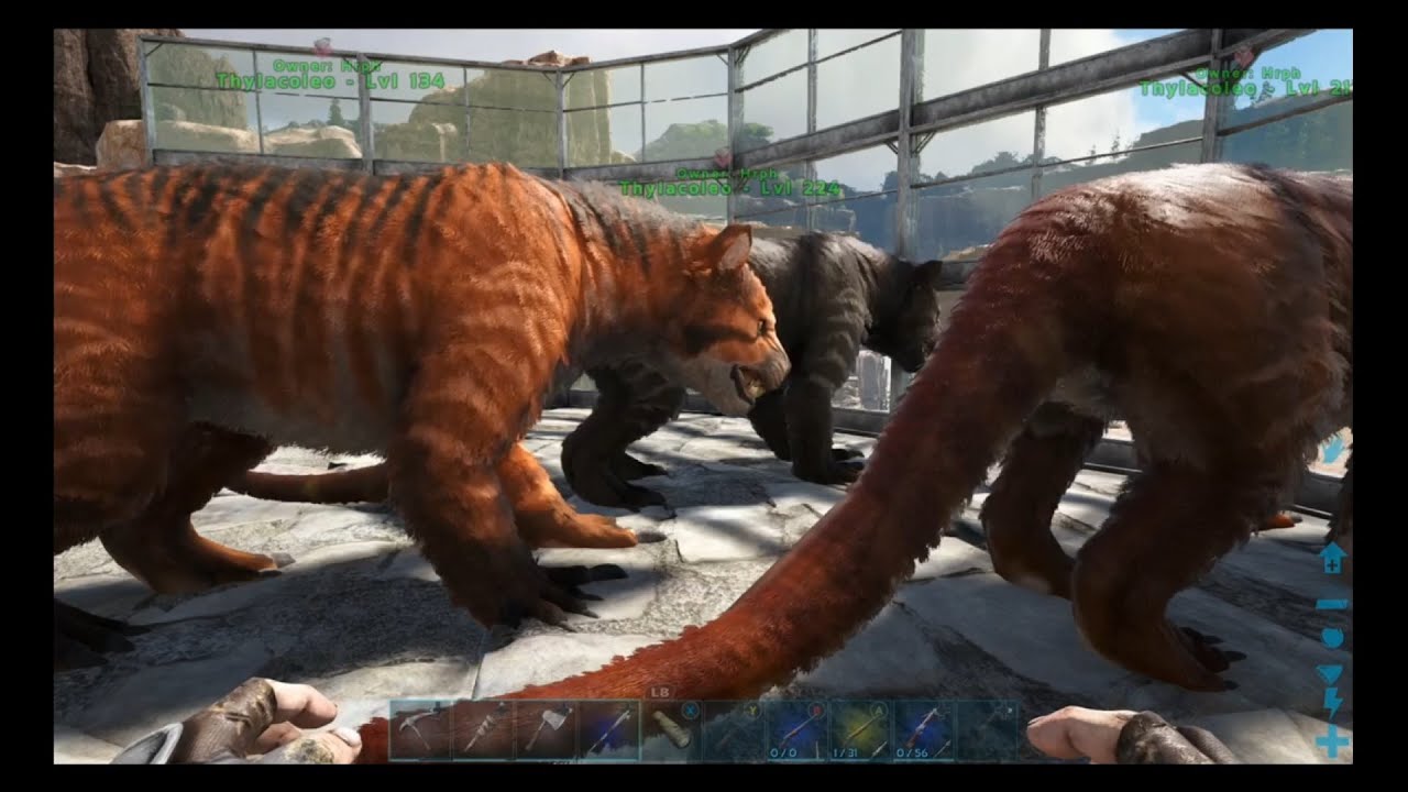 Taming High Level Thylacoleo - Ark Survival Evolved, Xbox One [E25 ...