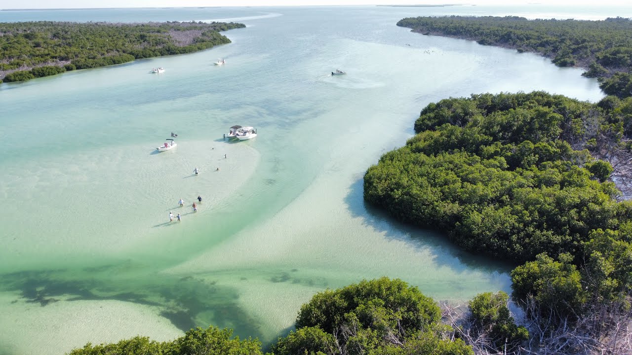 Content Key Florida - YouTube