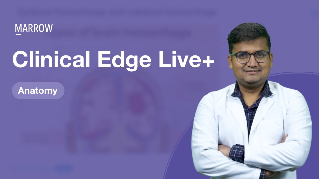 Clinical Edge Live+ - Anatomy - YouTube