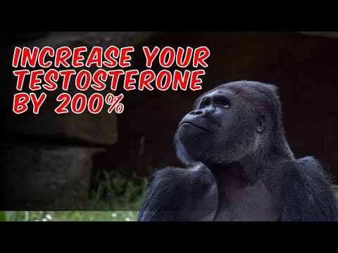 The Secret to Unlocking Your Inner Alpha Male - YouTube