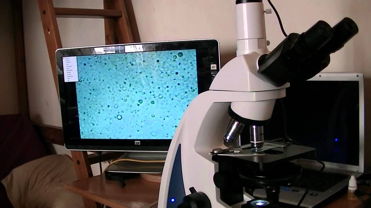 microscope a contraste de phase pour dentiste utilisation PARTIE 6 ...