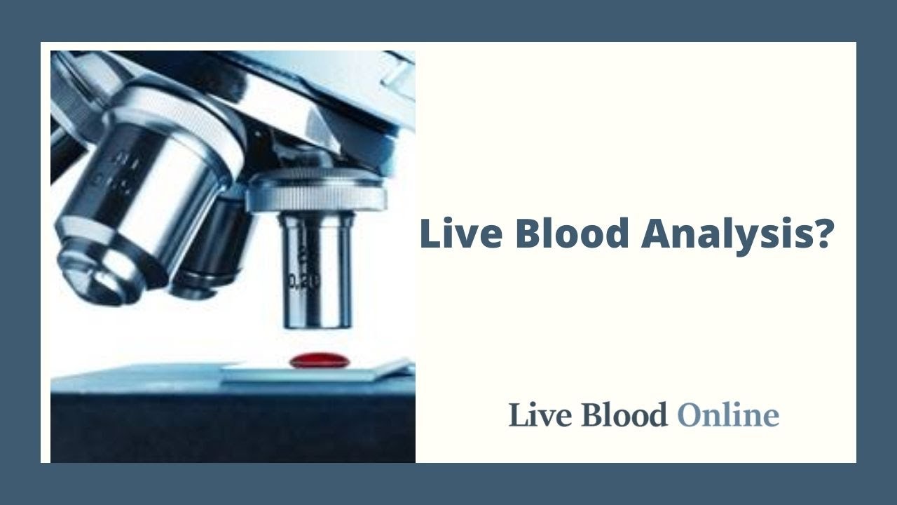 What is Live Blood Analysis? - Live Blood Analysis Training Course ...