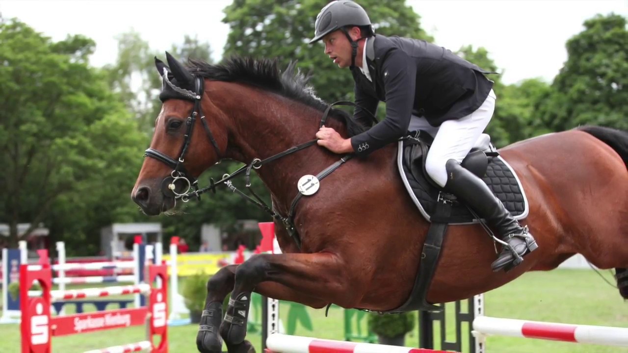 DIE HARKE vom 18.06.2017 - YouTube