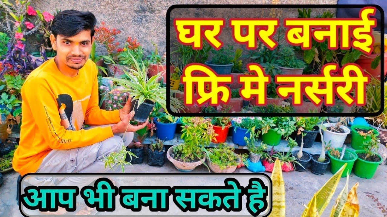 फ्री के पौधे और फ्री के गमले से छत पर बनाई एक सुंदर सी नर्सरी Free Ke ...