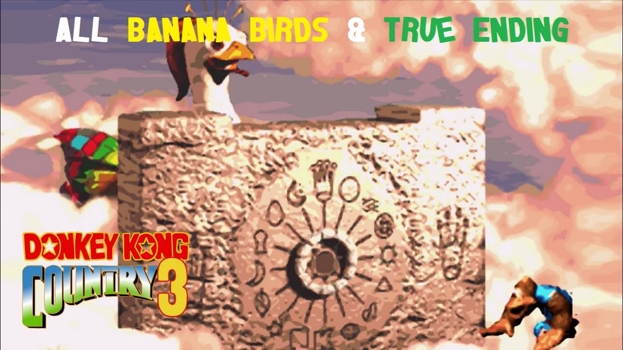 Donkey Kong Country 3 (GBA) (105%) (10|10) / All Banana Birds & True ...