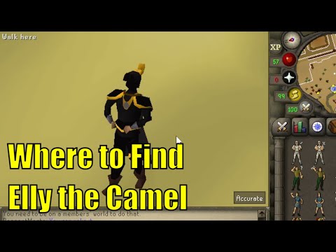 Elly The Camel OSRS - YouTube