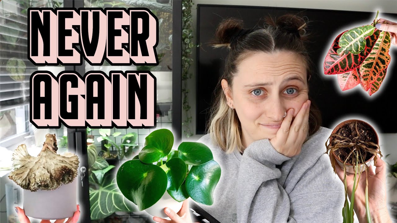 I wouldn't own these plants again... 😬 - YouTube