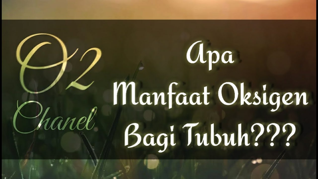 Apa Manfaat Oksigen Bagi Tubuh? (Pembahasan IPA) - YouTube