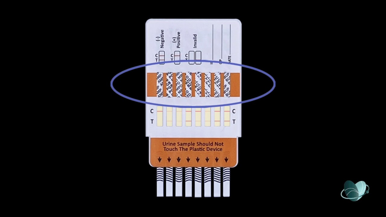 Instruktion för att utföra drogtest från ett urinprov - YouTube