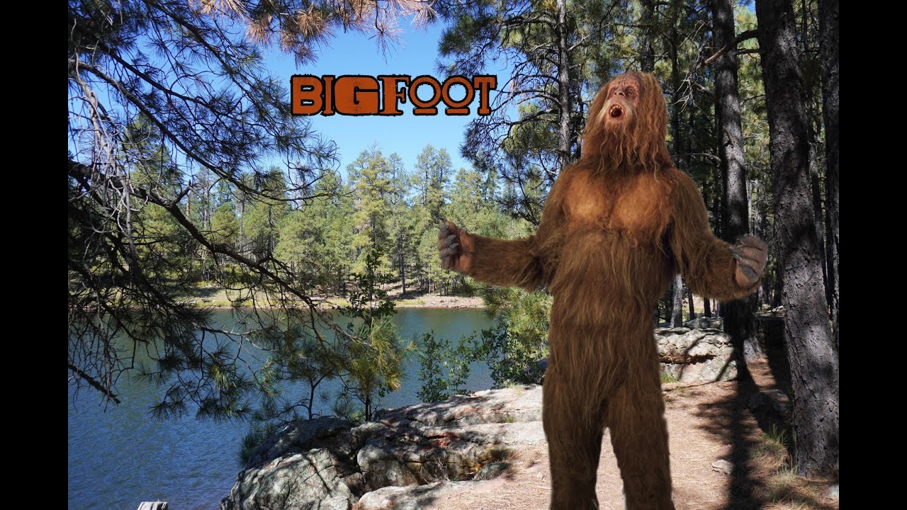 Searching for Bigfoot / Sasquatch aka Arizona Mogollon Monster - Woods ...