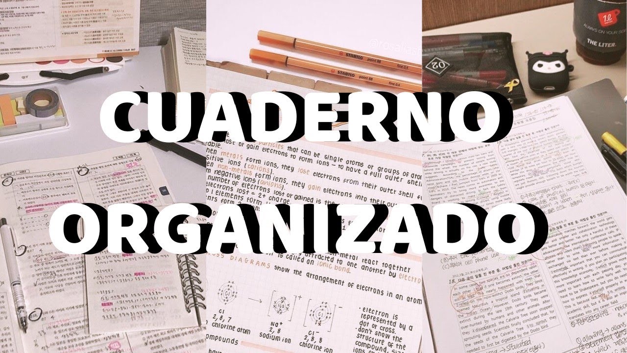 📒 CÓMO TENER UN CUADERNO BIEN ORGANIZADO Y ESTRUCTURADO 🏻 | MEIL SOL ...