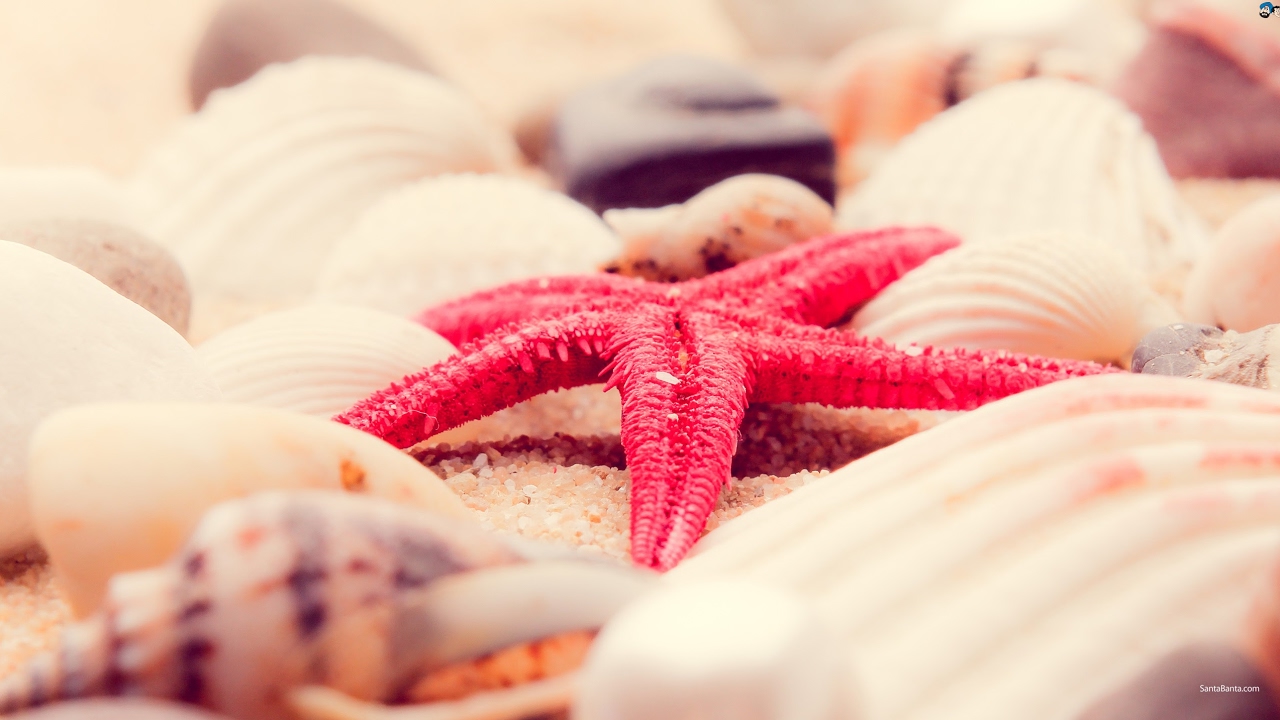 RAVI KOLI Live Stream - YouTube