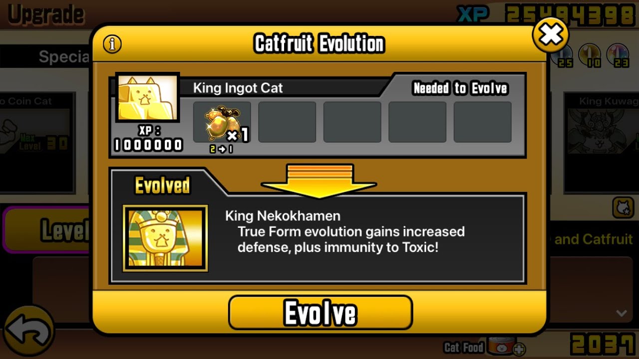 True forming gold brick cat - YouTube