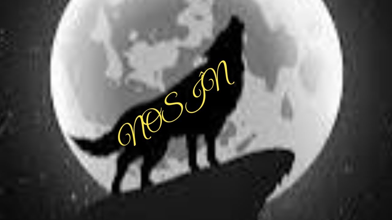 Paul2MP - 13 ani - YouTube