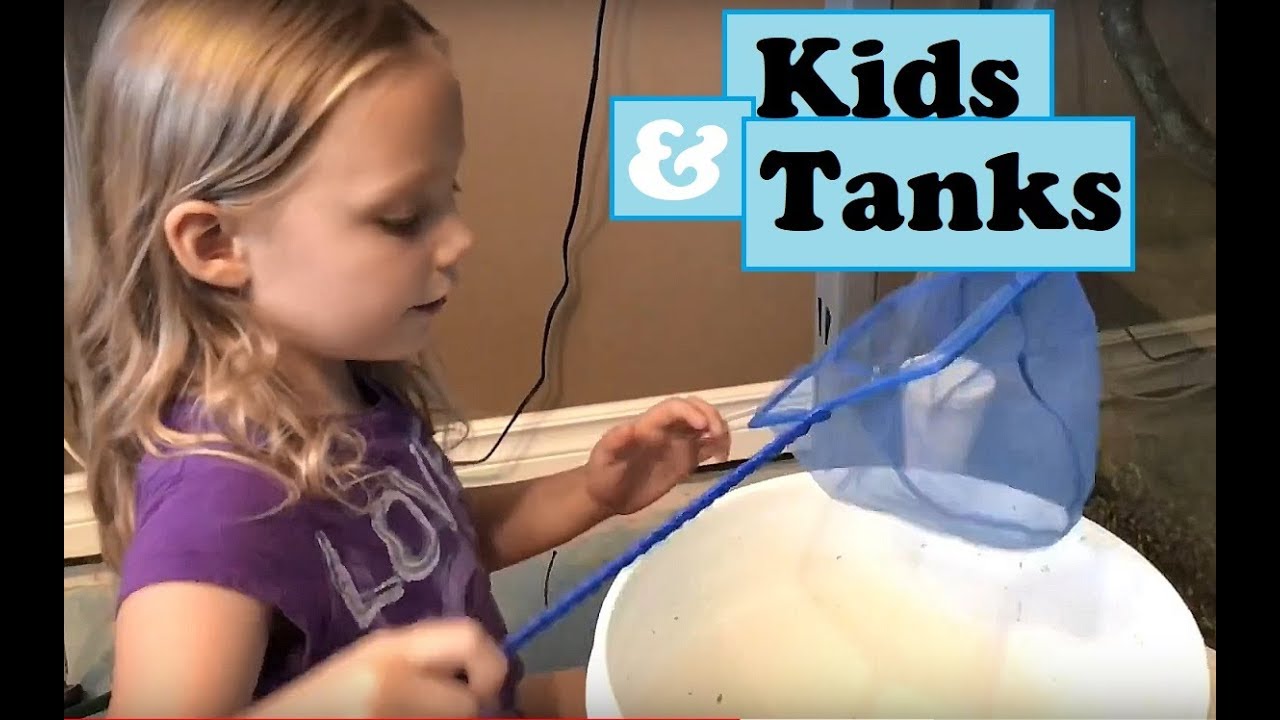 Kids catching fish - YouTube