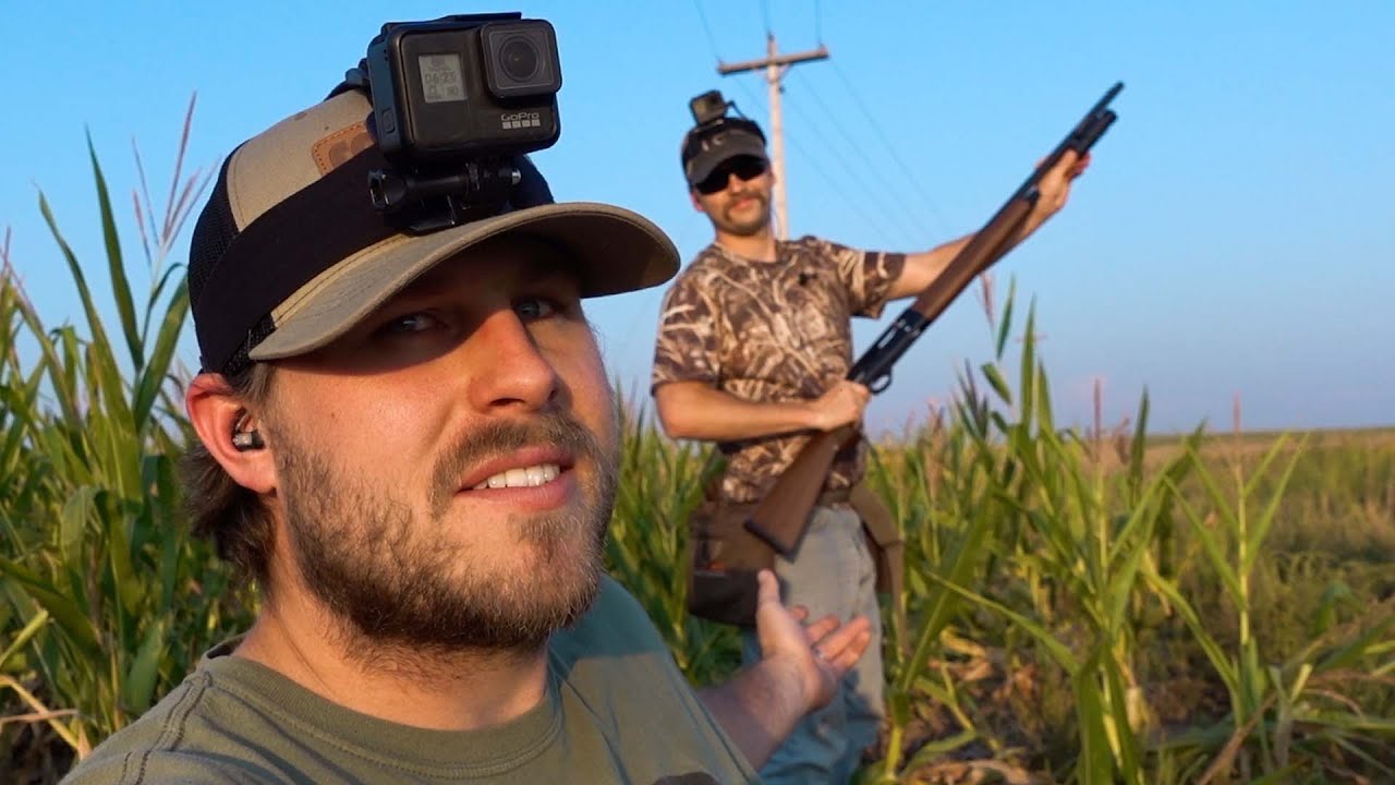 Dove Hunting | CATCH CLEAN COOK - YouTube