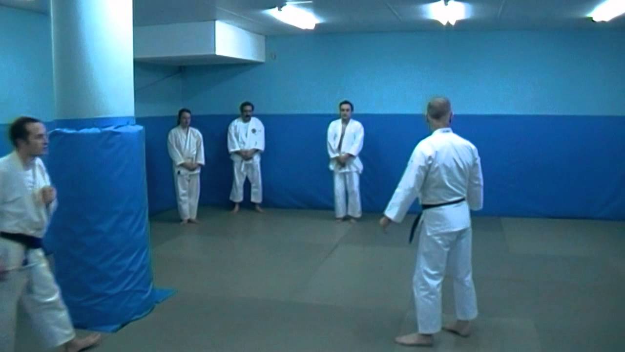 sode dori, Tsubame gaeshi, aplicaciones contra furi zuki 義和拳法 - YouTube