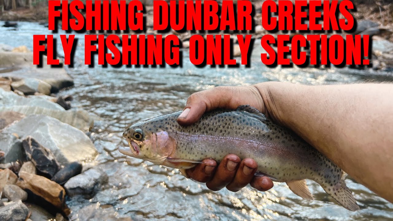 FISHING DUNBAR CREEKS FLY FISHING ONLY SECTION! - YouTube
