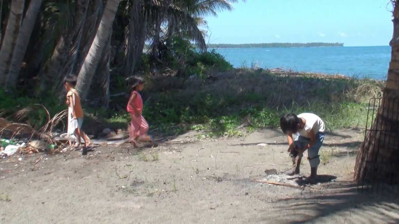 Philippines 2010 - Brooke's Point, Palawan, Phil Free beach resort ...