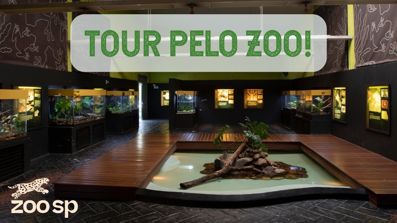 Tour pelo Zoo SP: Espaço Pulo do Sapo, lar dos anfíbios! 🐸 - YouTube