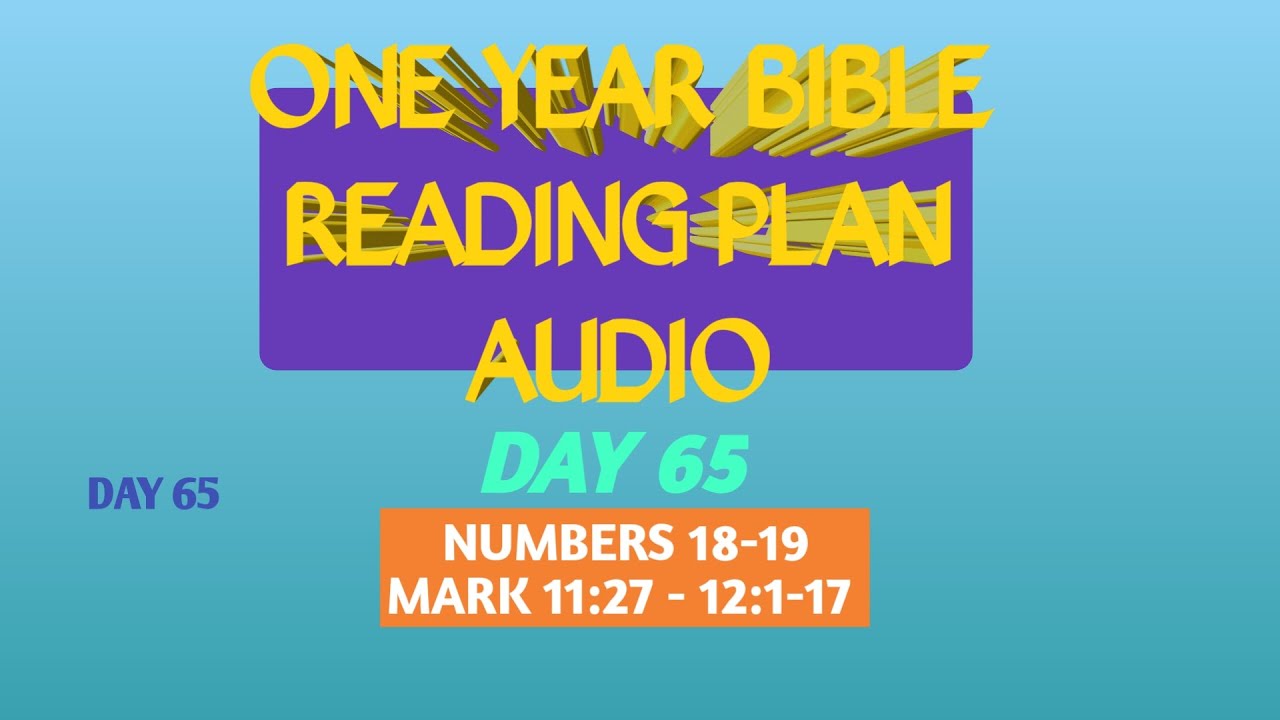 DAY 65 | ONE YEAR BIBLE READING PLAN AUDIO | NUMBERS CHAPTER 18-19 ...
