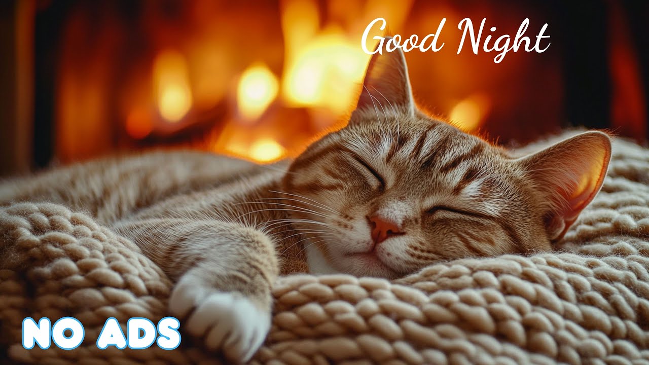 Sleeping Music for Cats 🐾 Soothing Sounds for Deep Relaxation & Keep ...