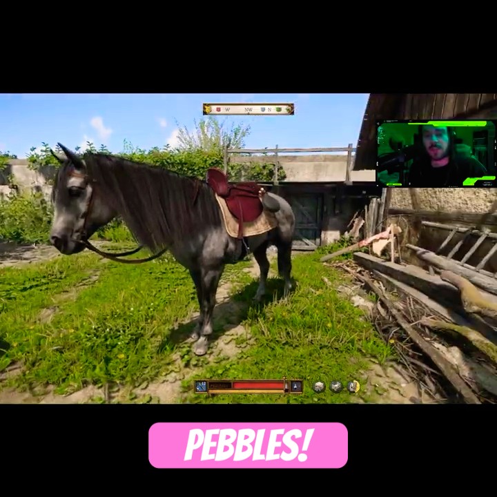 Finding Pebbles! - Kingdom Come Deliverance II #kcd2 #gaming # ...