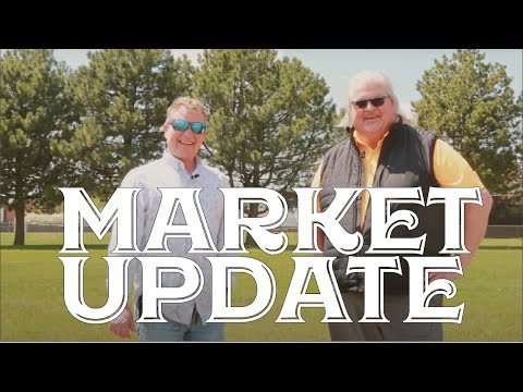 Market Update | Hope Rolls - YouTube