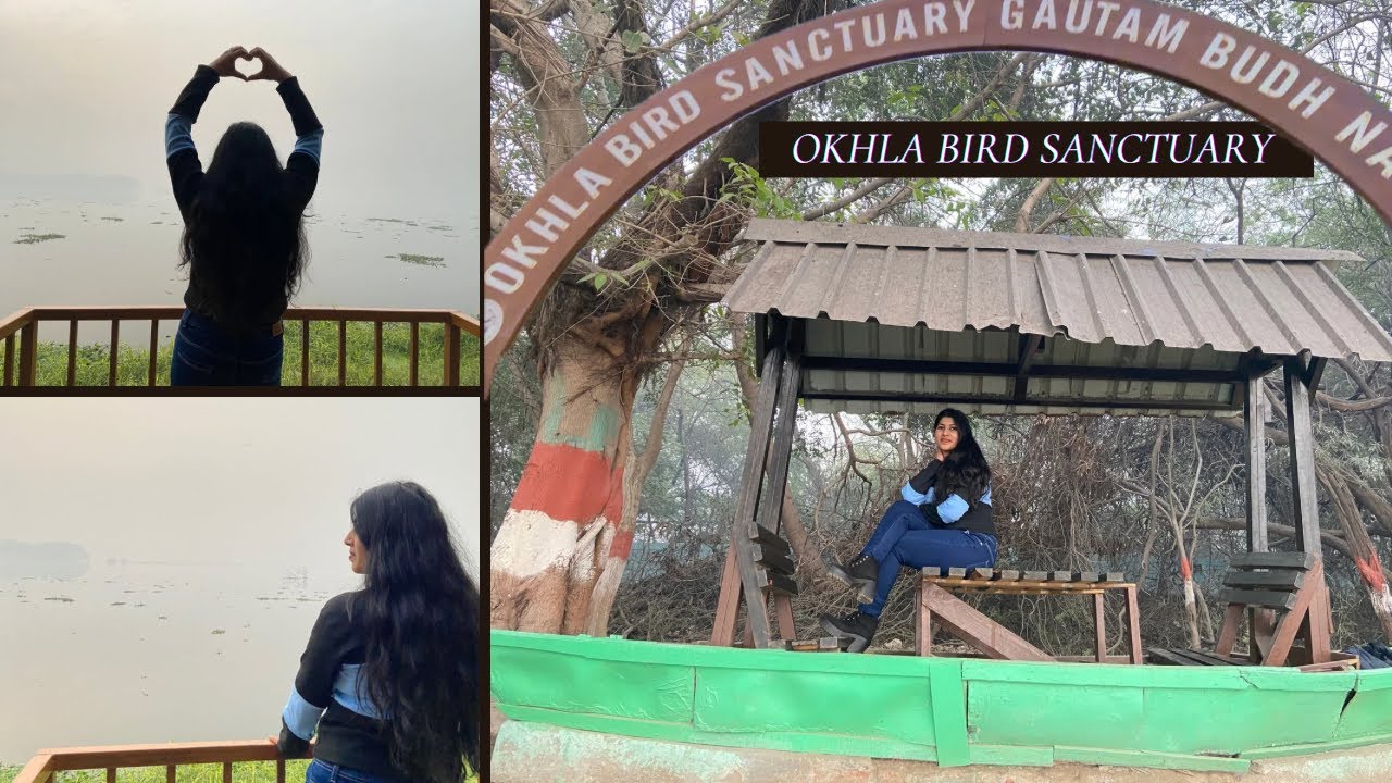 Okhla Bird Sanctuary / Okhla Bird Sanctuary - Siberian Bird 🦅 / Okhla ...