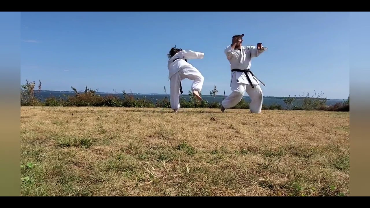 Introduction to New England Shidokan Karate - YouTube