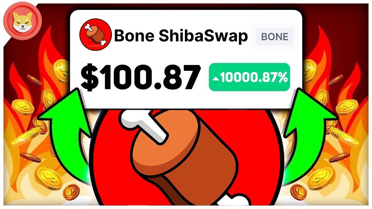 $100 INTO SHIBASWAP BONE COIN AT $1.00 WILL BE LIFE CHANGING! SHIBA INU ...