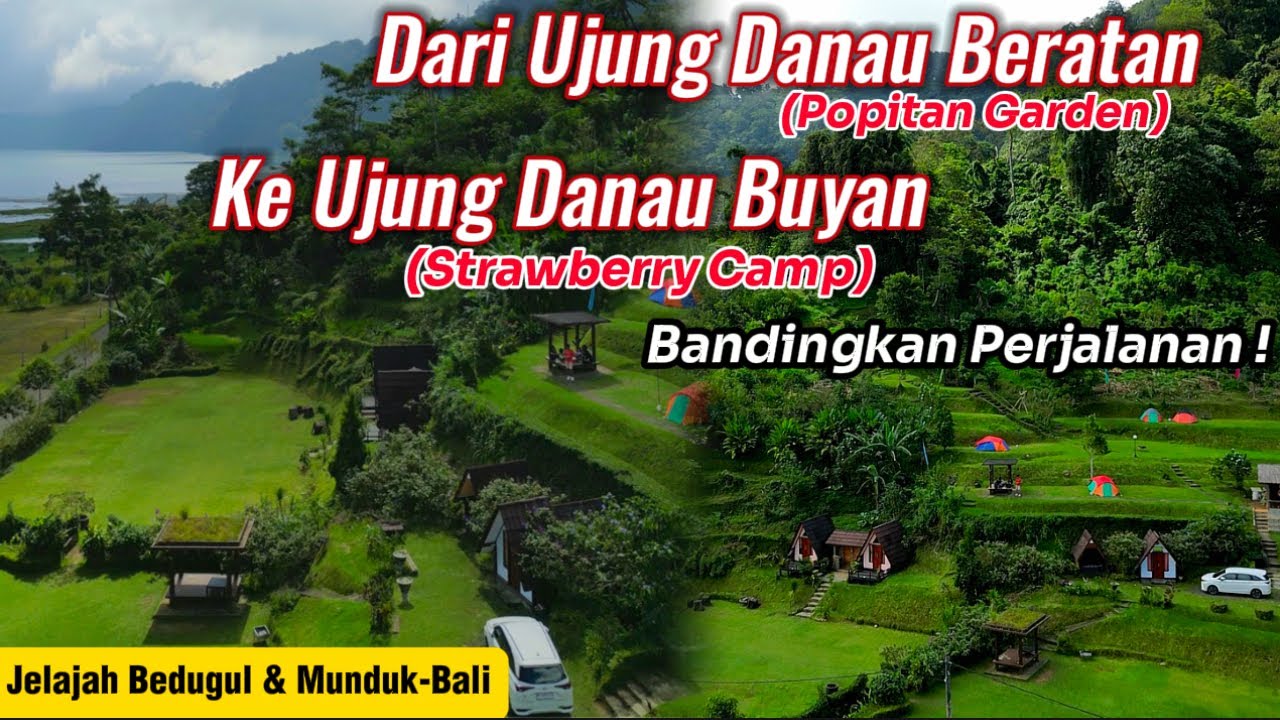 Perjalanan ke Strawberry Camp, Spot Camping Glamping di Tepi Danau ...