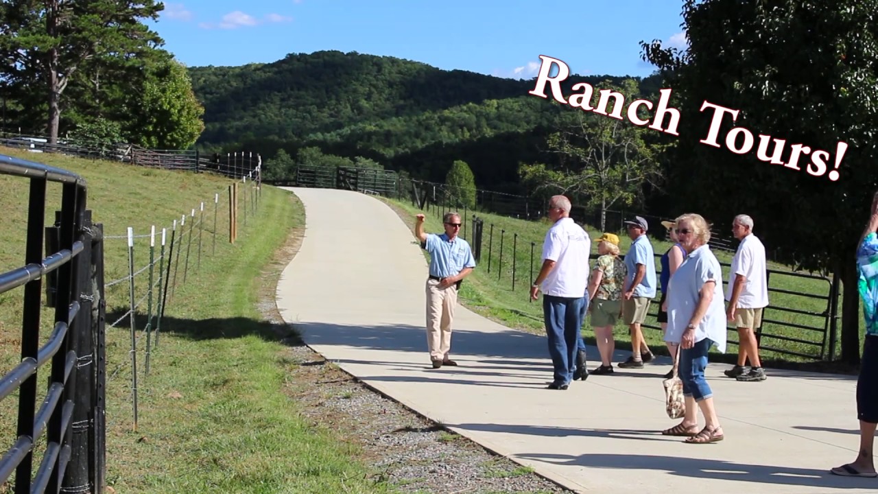Walnut Hollow Ranch - Hayesville, NC - YouTube