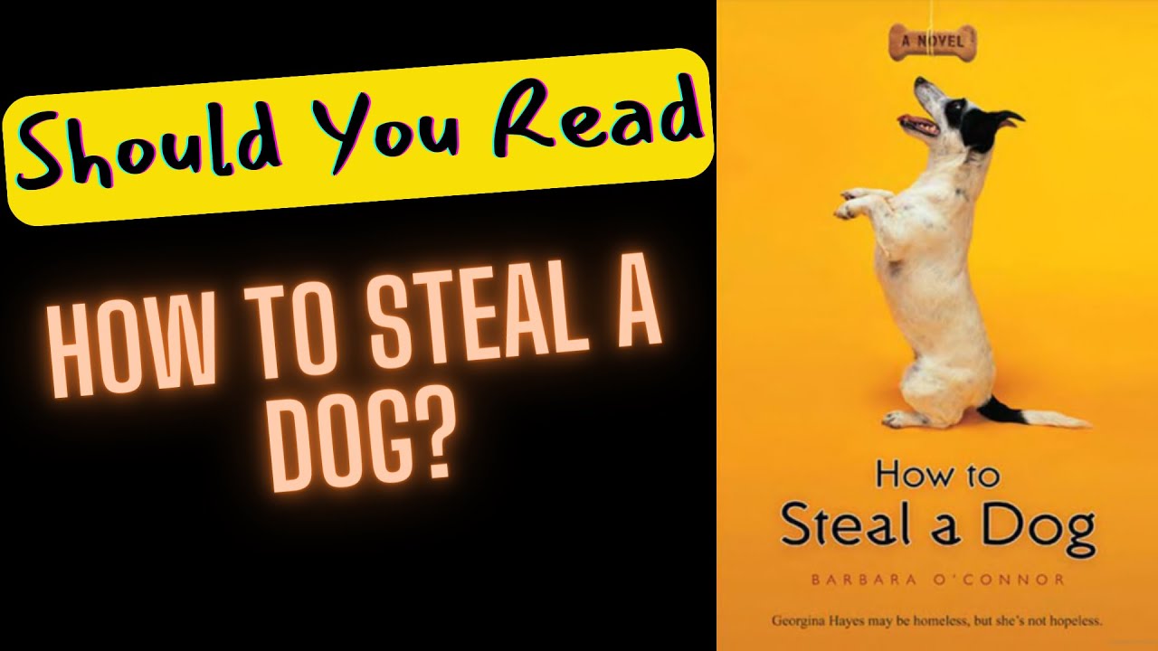 How to Steal a Dog Book Trailer | SEL & Moral Dilemma Hook (Grades 3-6 ...