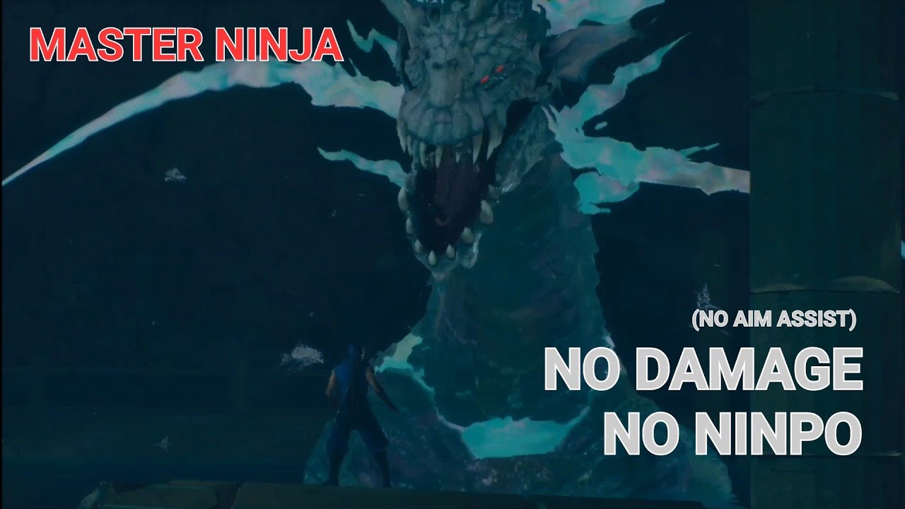 Ninja Gaiden 2 Black - vs. Water Dragon [Master Ninja, No Damage] - YouTube