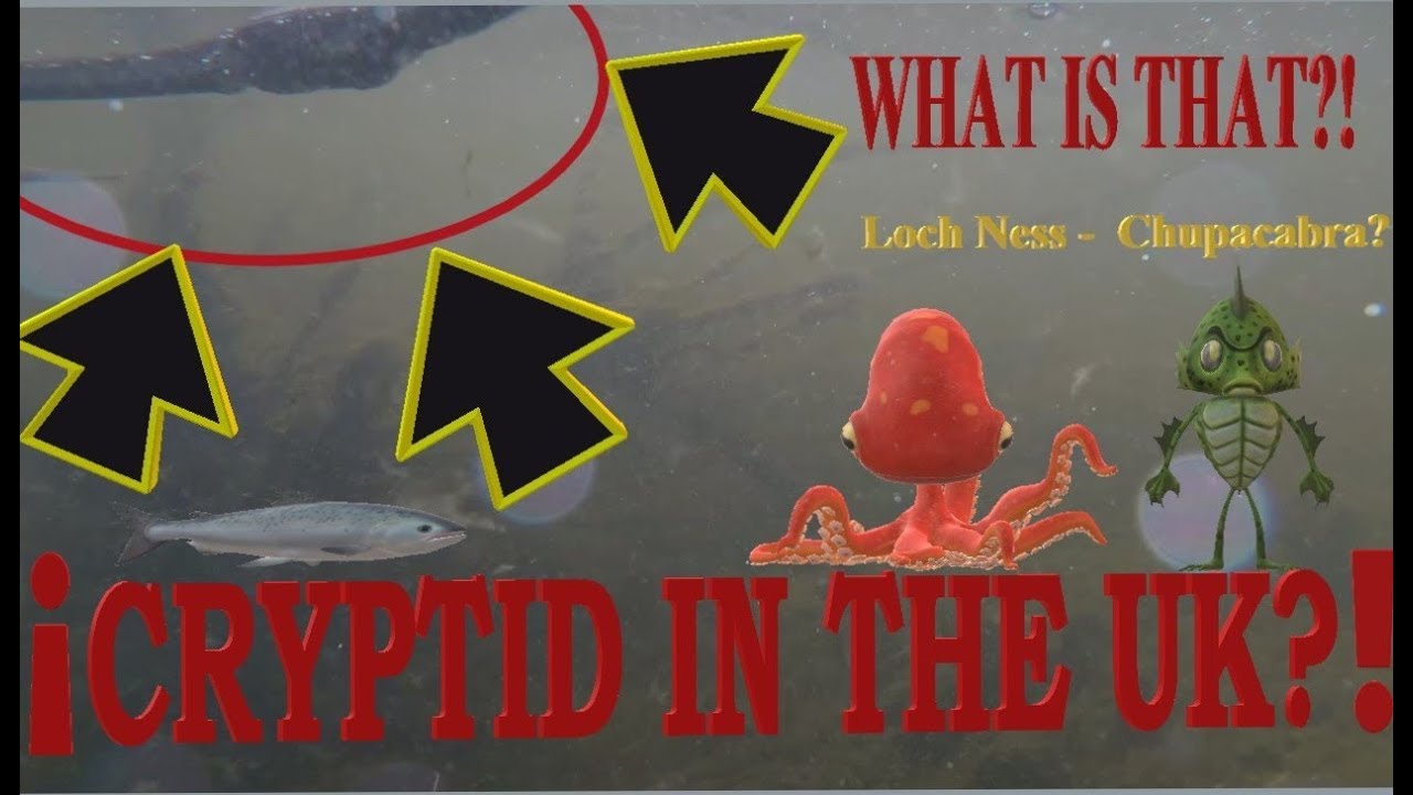 UK Cryptid Caught on camera! - YouTube