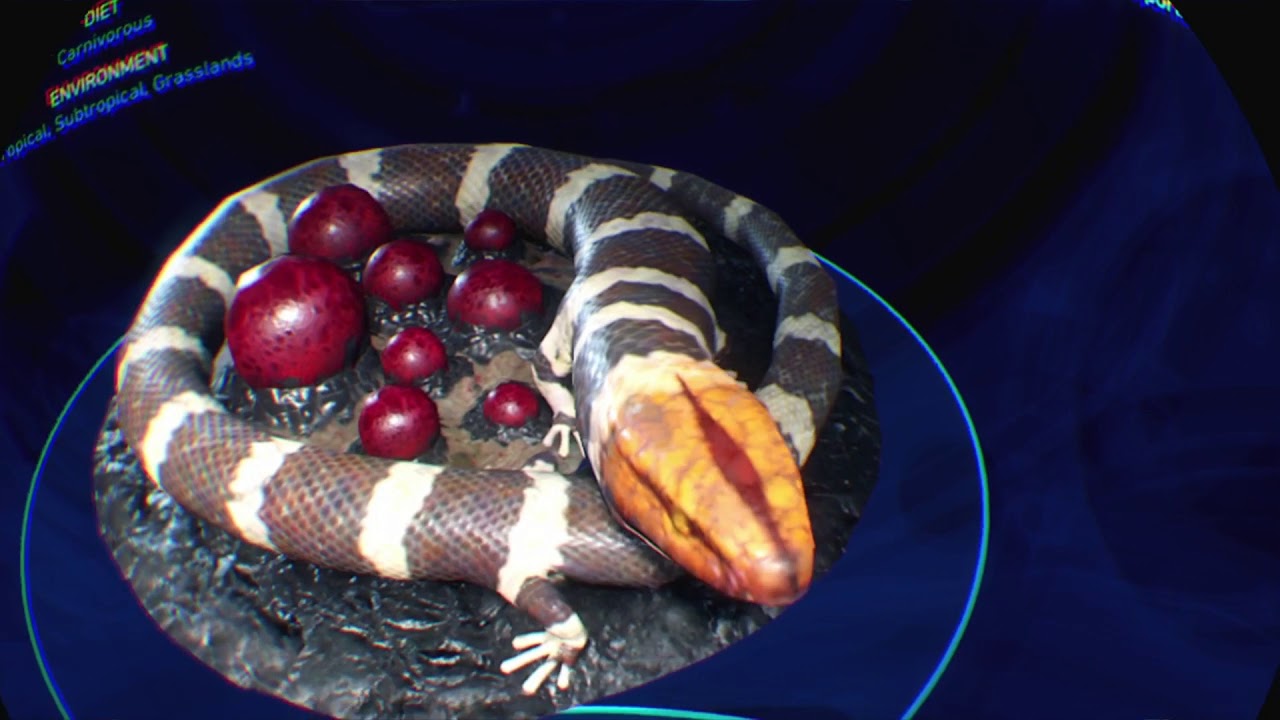 Robinson The Journey - The Creatures - YouTube