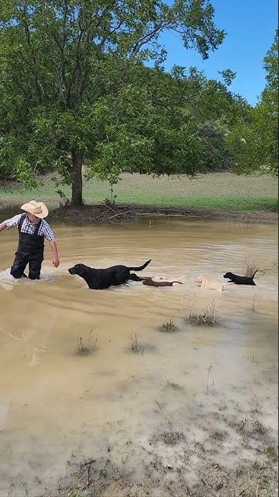 Swimming Lessons Down At The Swimming Hall Youtube