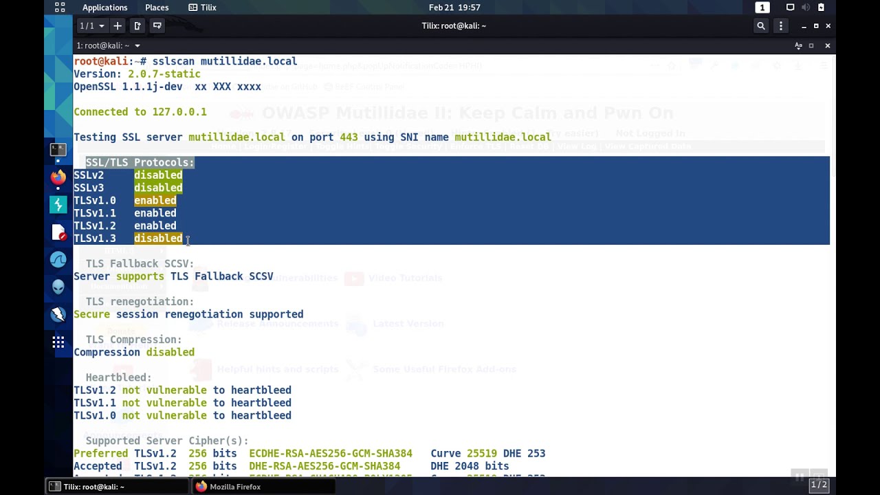 SSLScan: Part 2 - How to Interpret the Results - YouTube
