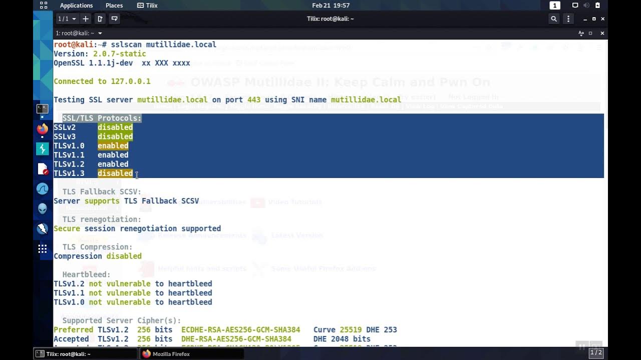 SSLScan: Part 2 - How to Interpret the Results - YouTube