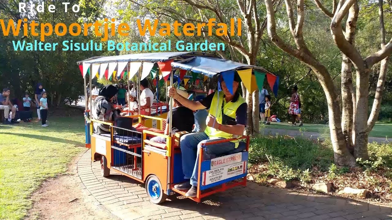 Witpoortjie waterfall | Walter Sisulu Botanical Garden | Roodepoort ...