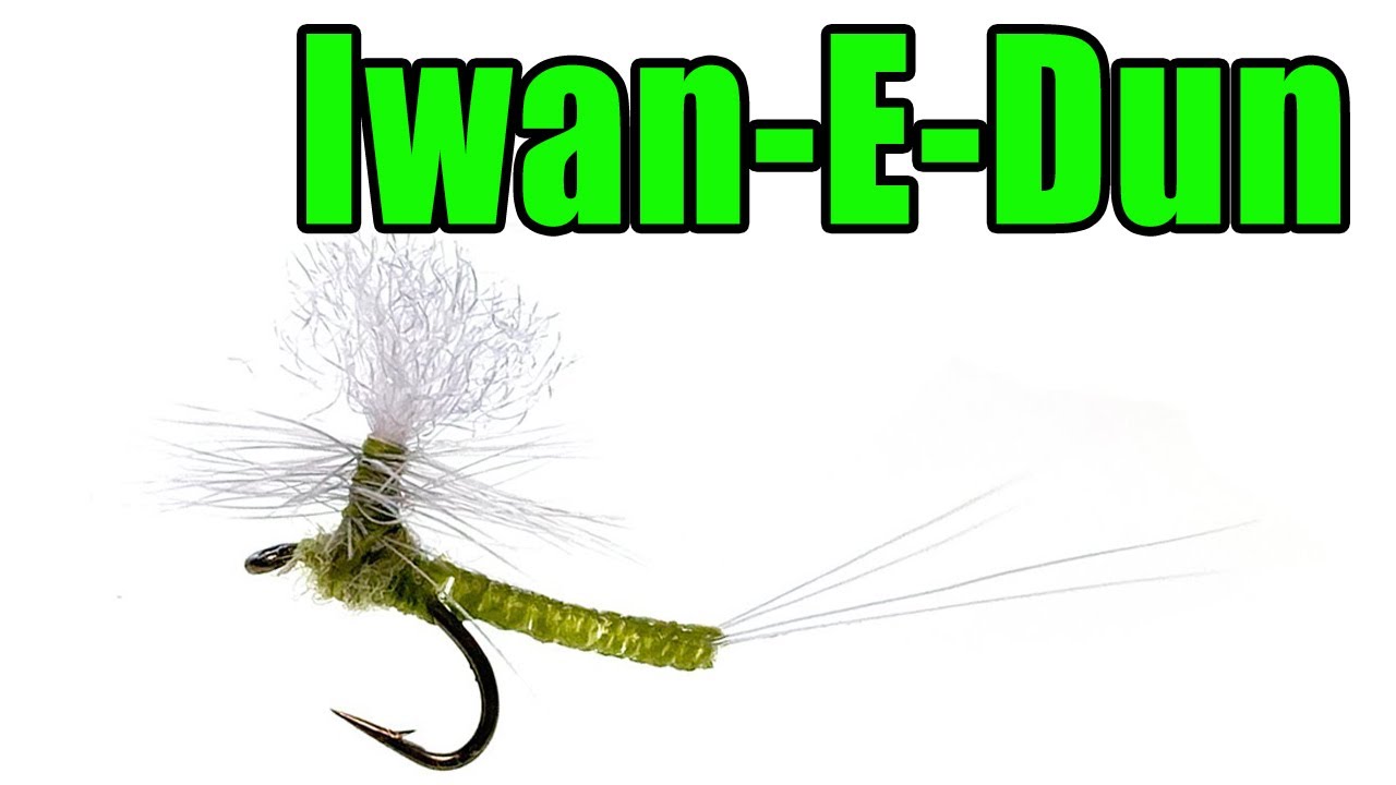 Iwan-E-Dun Fly Tying - Phil Iwane Fly Pattern - YouTube