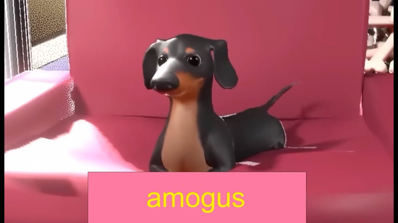 dog of amogus - YouTube